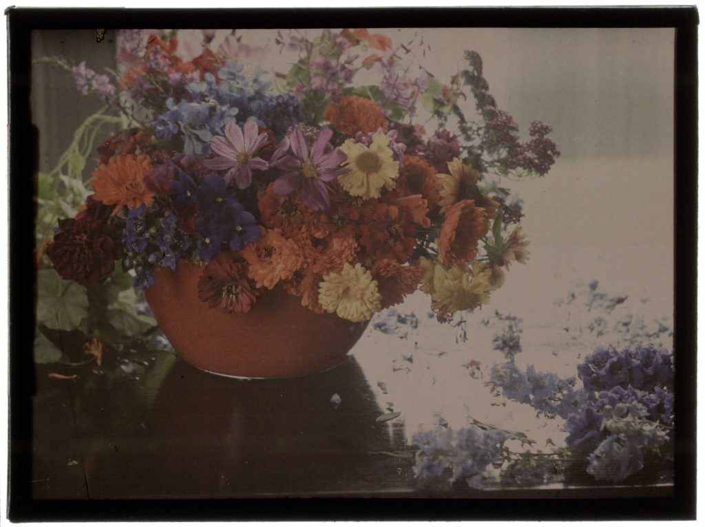 History of the autochrome | National Science and Media Museum blog