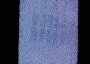 The world's earliest surviving photographic negative is part of our ...